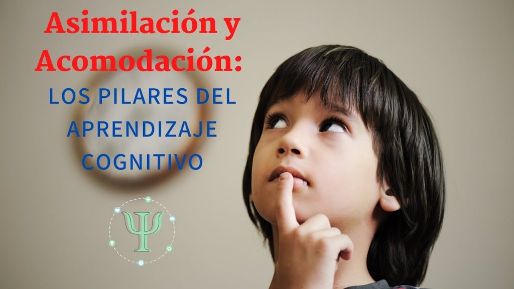 Comprender la acomodación en psicología