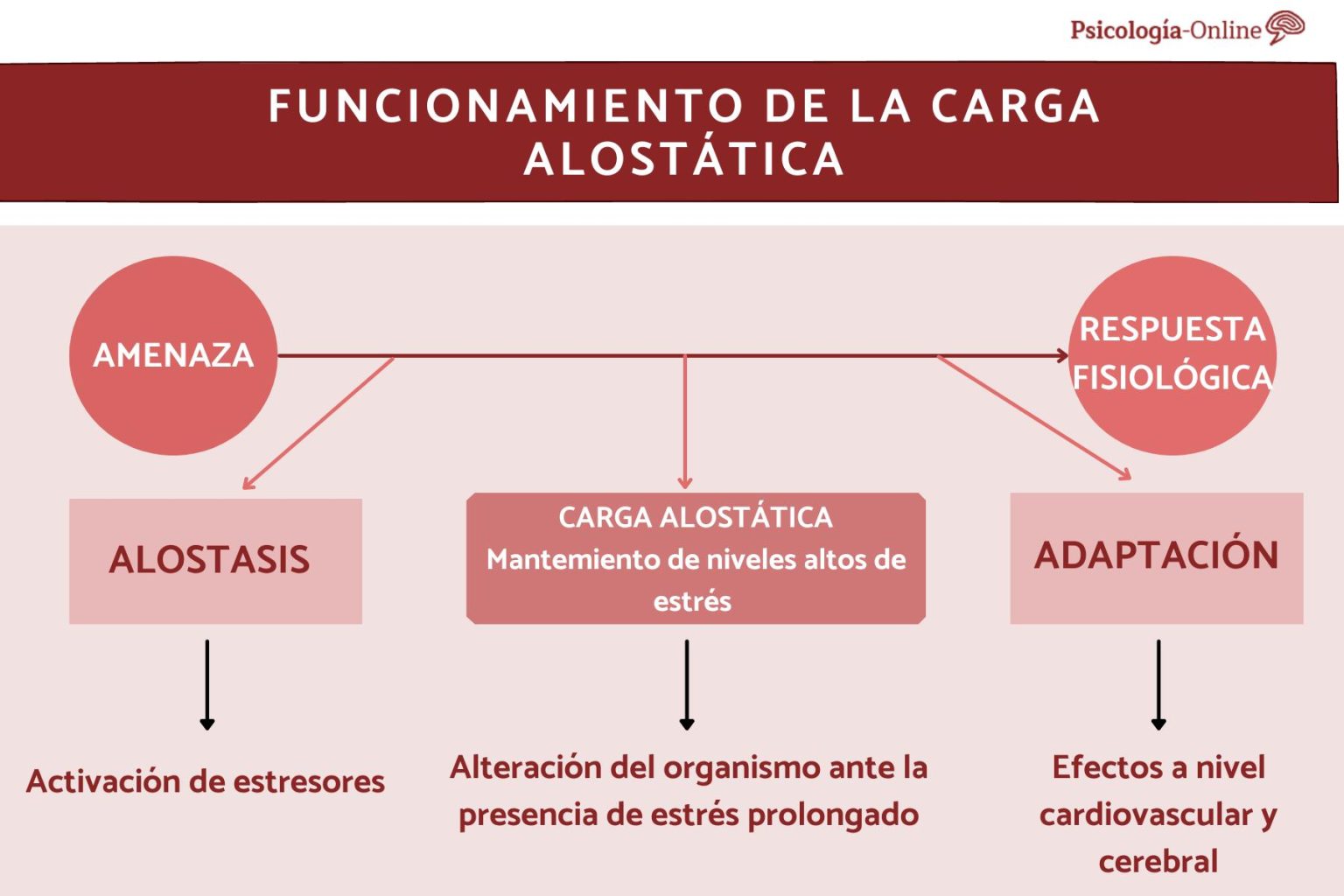 ¿Qué es la carga alostática?